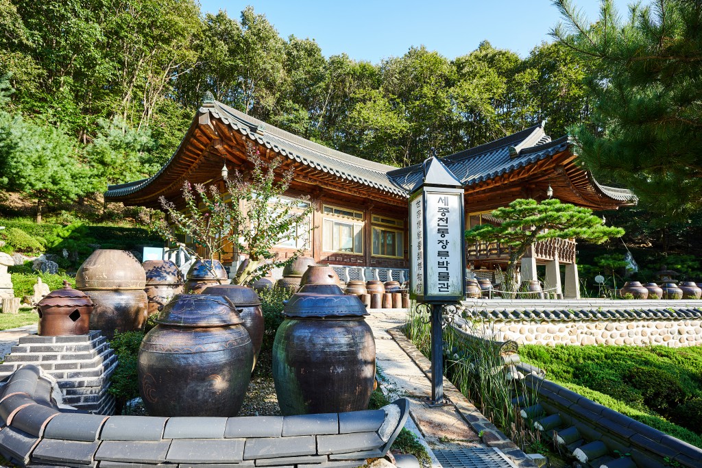 1만2천평 대지에 장독 항아리가 장관을 이룬 세종전통장류박물관