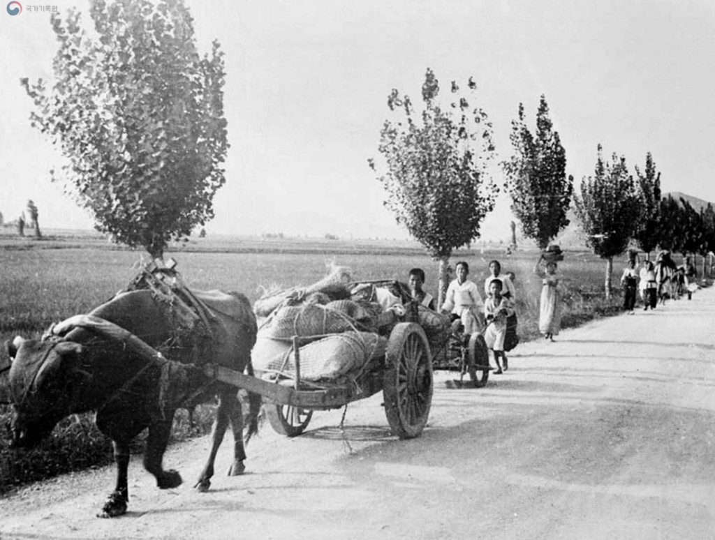 6.25 당시 겪었던 피란민 생활을 회상해 본다 (신대식 수기)